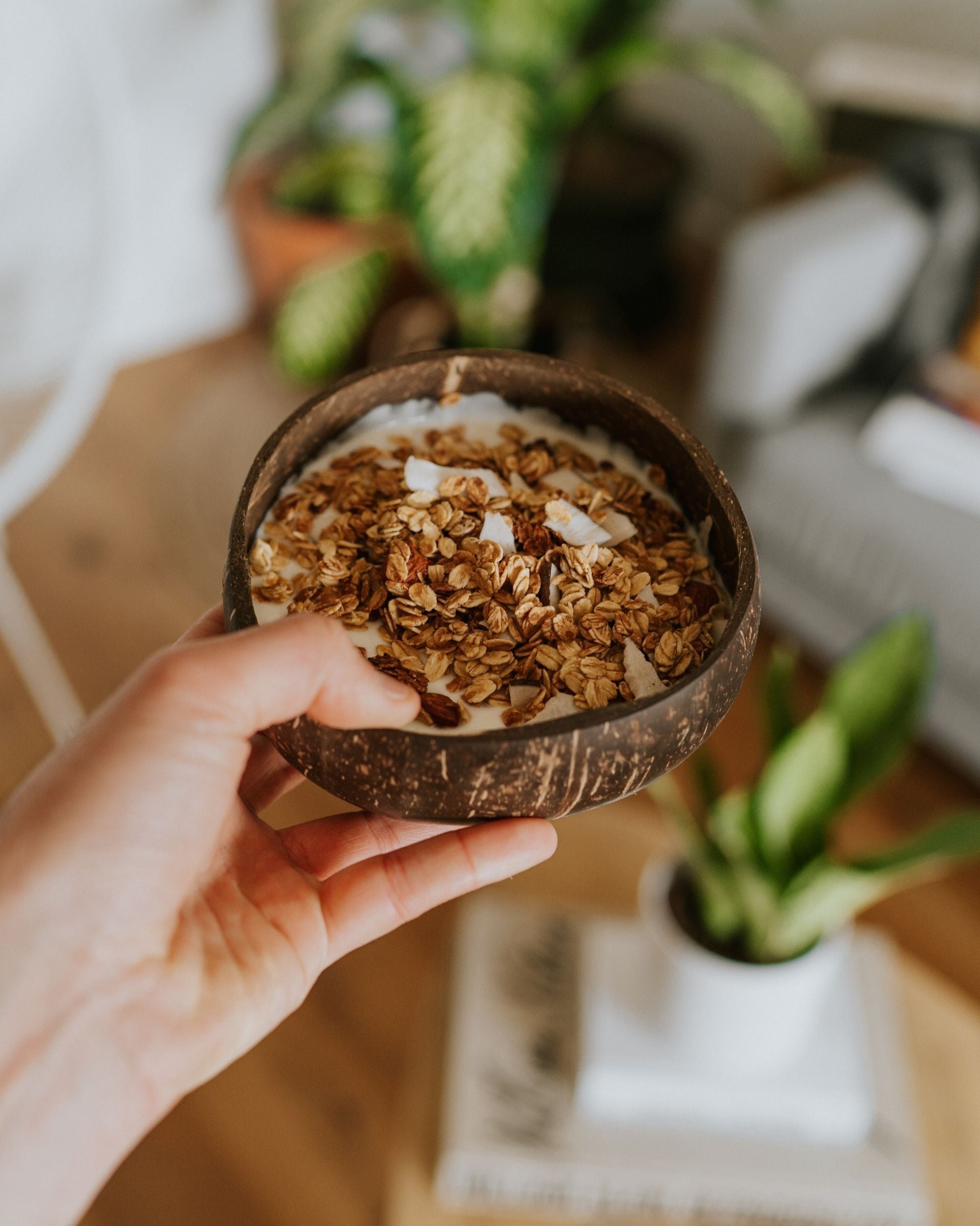 Tropical Bowl - Mid size Coconut Bowl – Bowlpros.EU